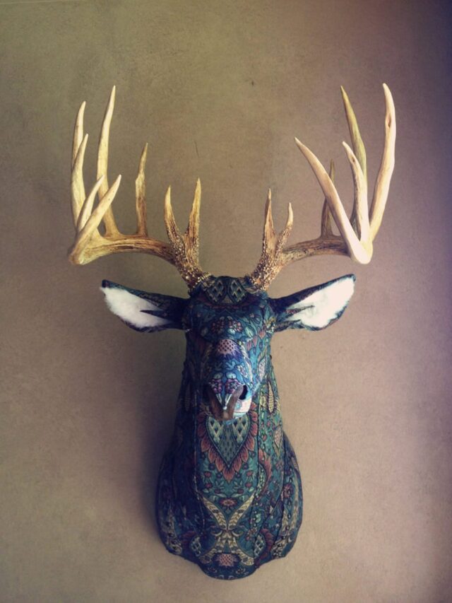 Upholstered Faux Taxidermy Heads and Animals by Kelly Rene Jelinek ...